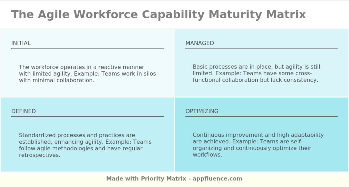 Agile Workforce Capability Maturity Matrix Free Download