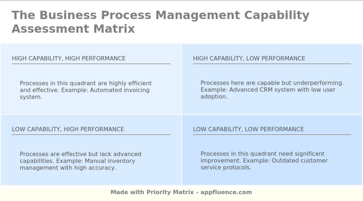 Business Process Management Capability Assessment Matrix [Free download]