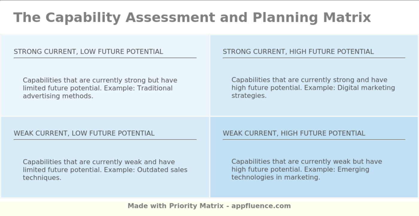 Capability Assessment and Planning Matrix [Free download]