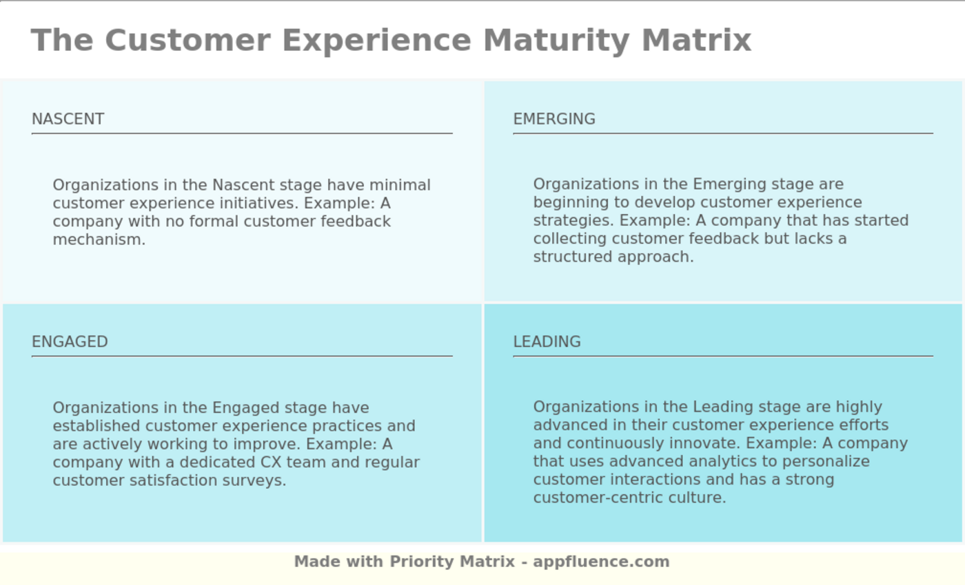 Customer Experience Maturity Matrix [free Download]