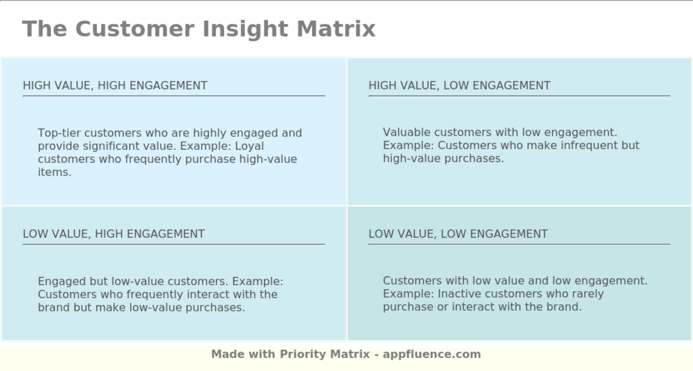 Customer Insight Matrix [Free download]