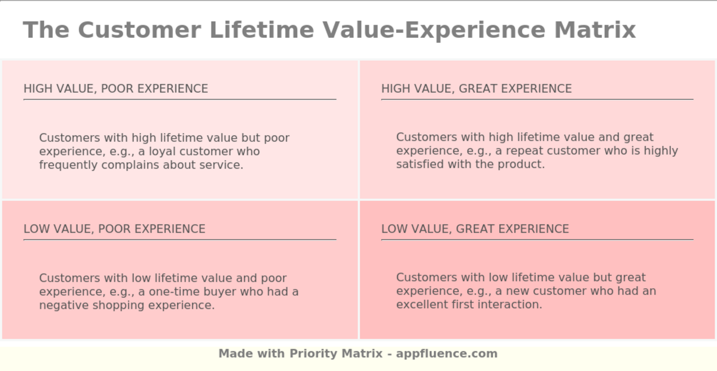 Customer Lifetime Value Experience Matrix [free Download]