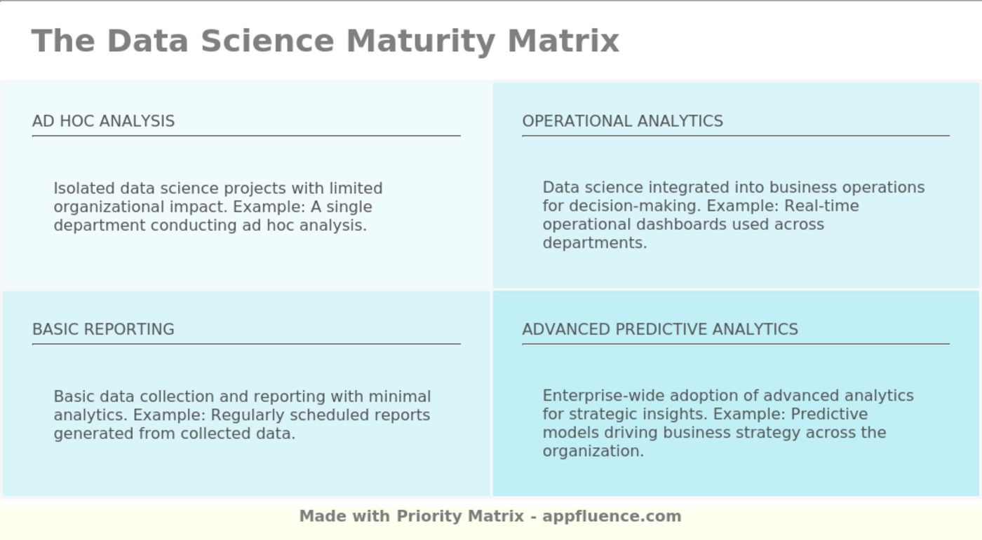 Data Science Maturity Matrix [free Download]