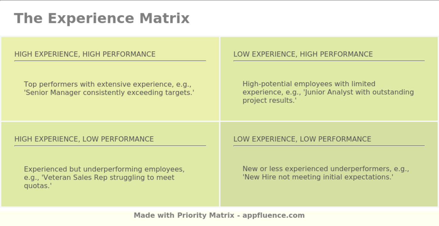 Experience Matrix [Free download]