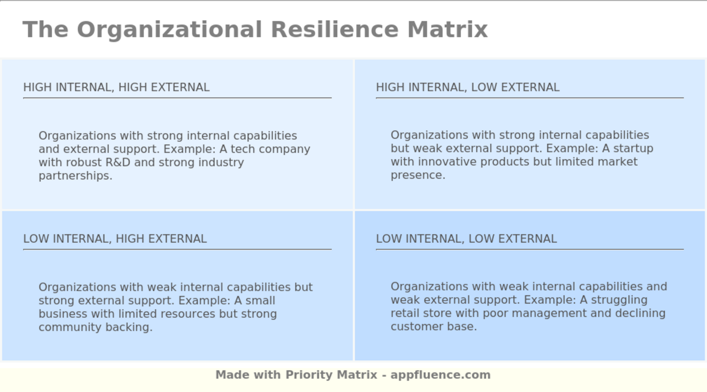 Organizational Resilience Matrix [Free download]