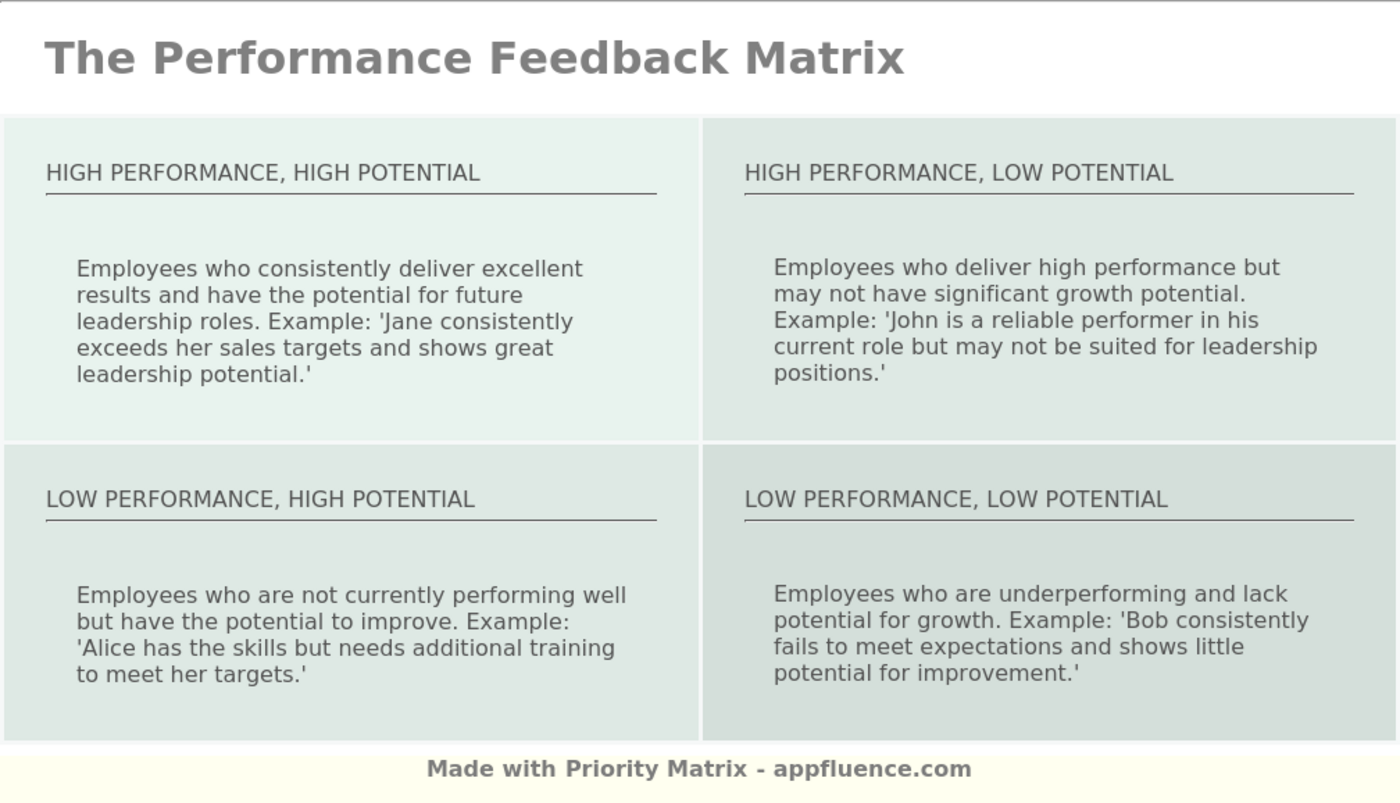 Performance Feedback Matrix [Free download]