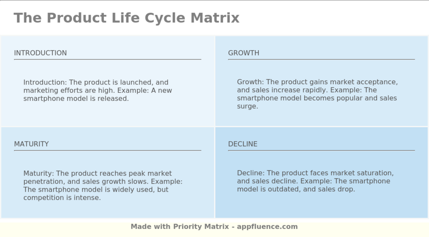 Product Life Cycle Matrix [Free download]