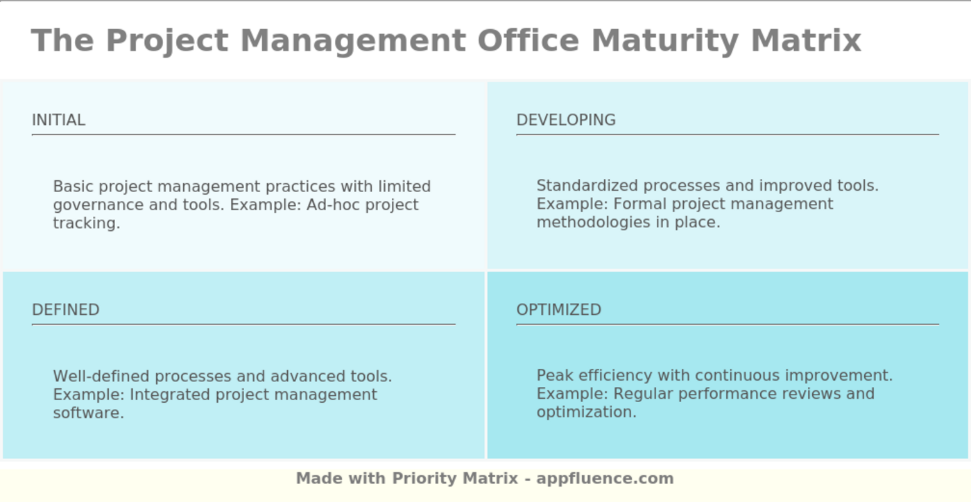 Project Management Office Maturity Matrix Free Download