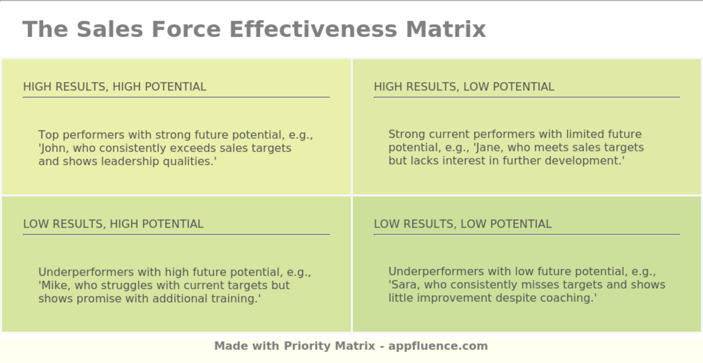 Sales Force Effectiveness Matrix [Free download]